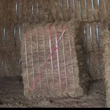 Coco Fiber 2 – Indonesia Coconut Trade