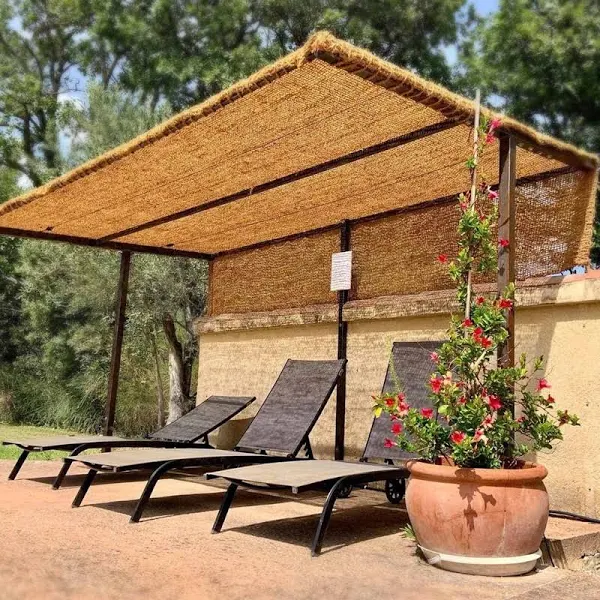 Coco Mesh 3 – Indonesia Coconut Trade